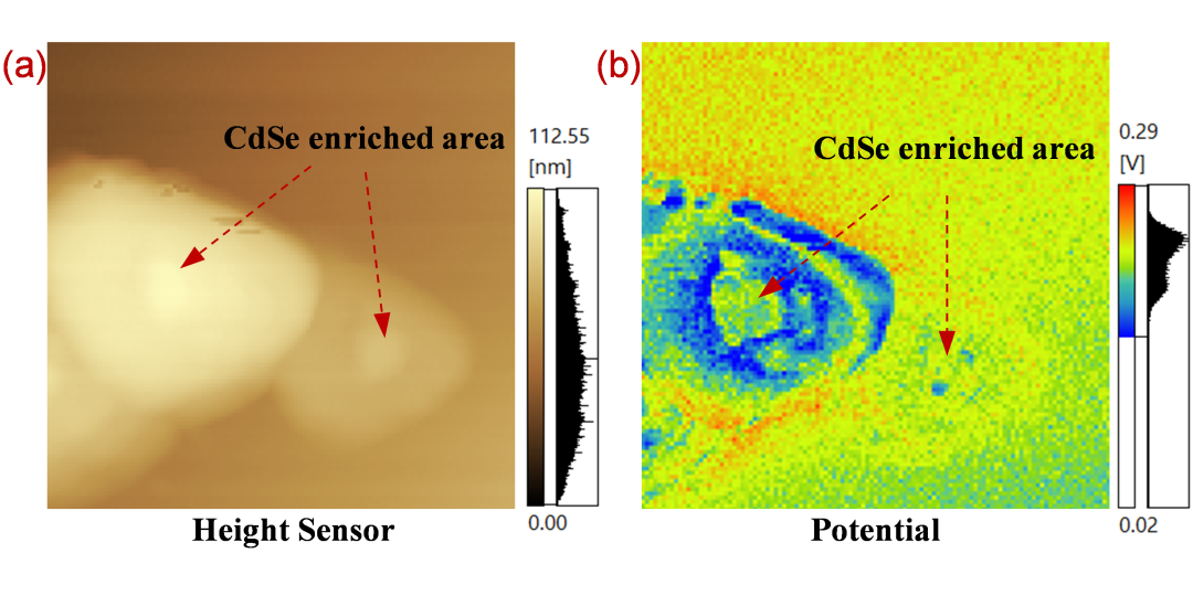 原位光照XPS携手SPM，助力复旦大学发表光催化领域知名SCI期刊